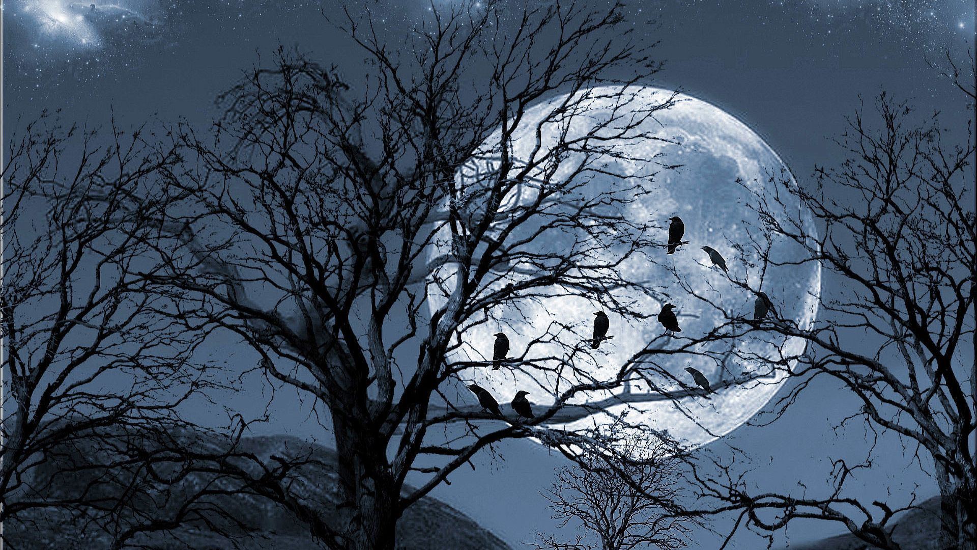 Звуки ночи и птиц