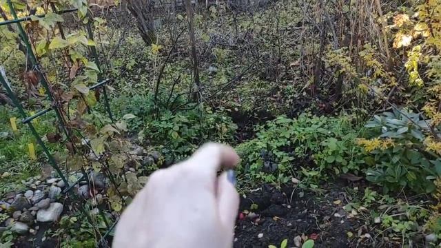 23-Дача😁 Отдыхаем😂как обычно.. с лопатами в руках😉часть 1