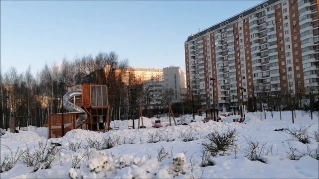 Долгие пруды  Москва  1 января 2024  Птицы, кормушки