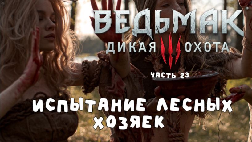 Ведьмак 3: Разговор с хозяйками леса (часть 23)
