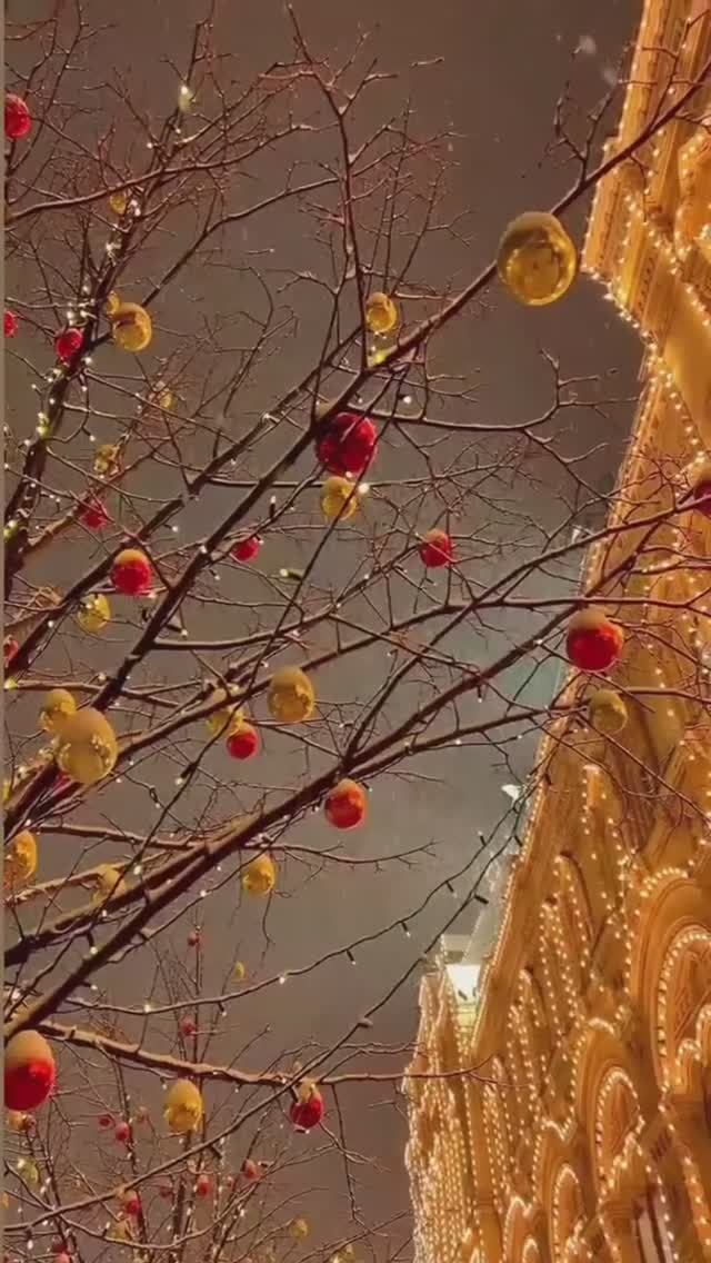 4 кита манипулятора | СОЦИАЛЬНЫЕ МАНИПУЛЯЦИИ-5