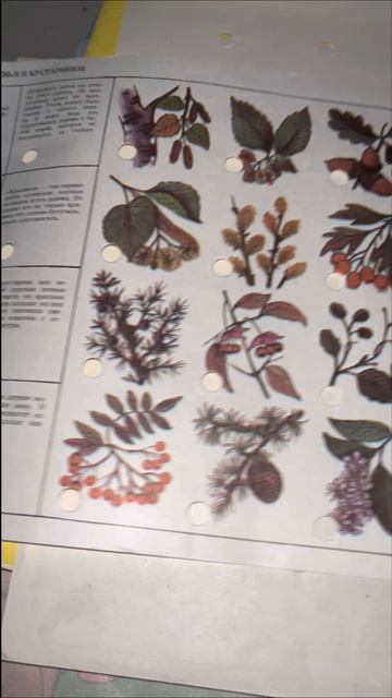 Находка #7 Воспоминания детства