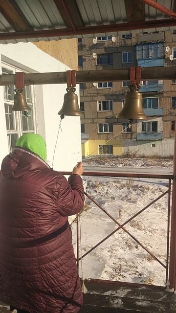 Собаки пришли послушать колокольный звон