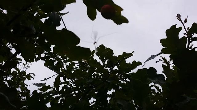 16-Отдых за городом..дача