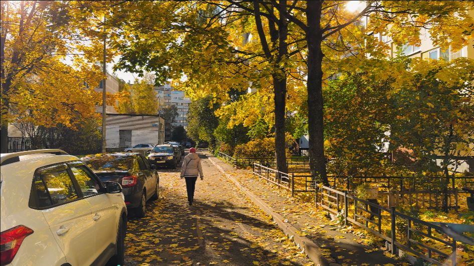 Просвещения - Озерки Прогулка по Санкт-Петербургу