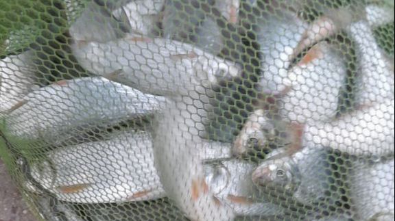 Лирическая.Рыбачим для души.