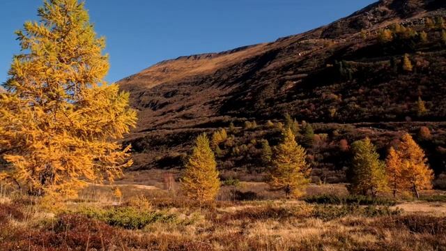 23 ноября - Главная ночь. Что нельзя упустить_