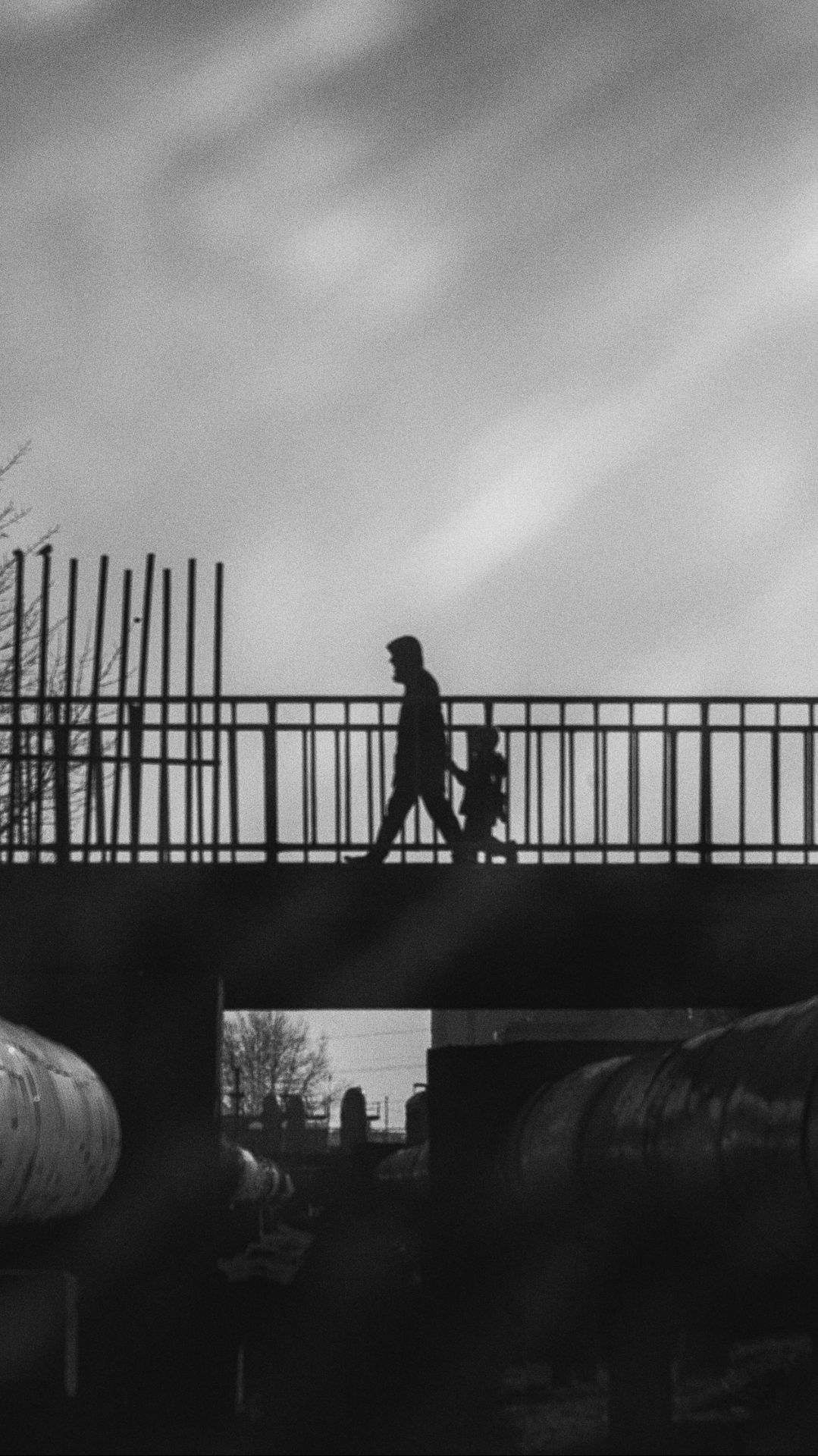 Lumix G2+ Индустар 50-2