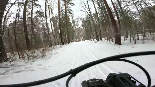 Surron Talaria Leili электровелосипеды. Прогулка по зимнему лесу.