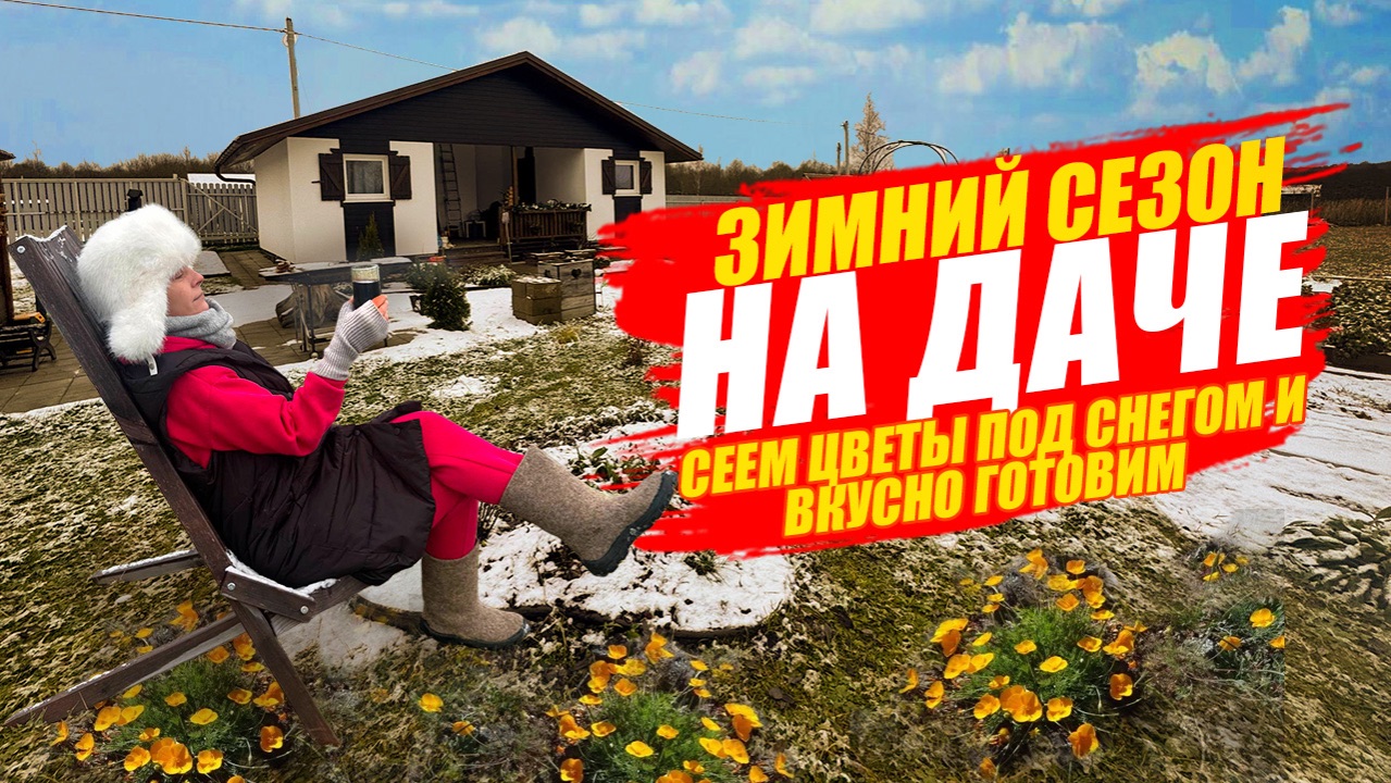 САЖАЕМ ЦВЕТЫ В СНЕГ/ДАЧА В НОЯБРЕ