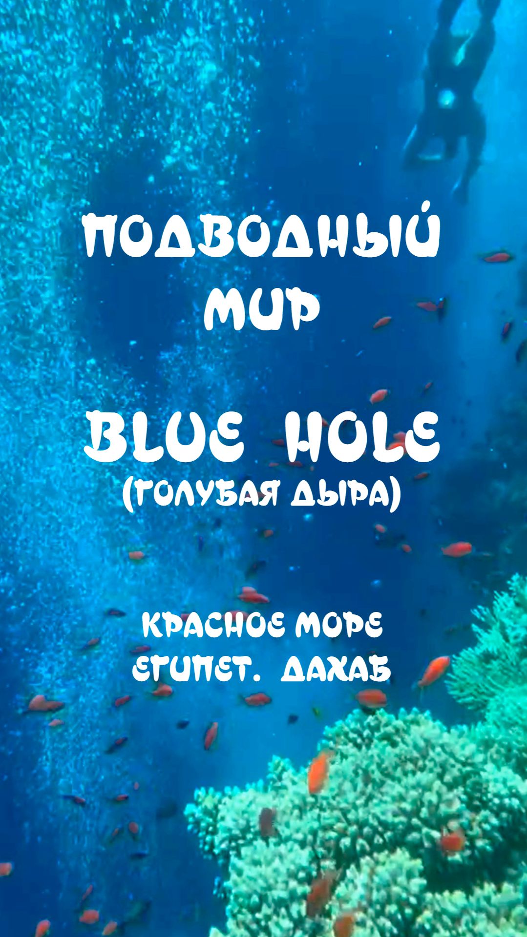 Blue Hole (голубая дыра). Подводный мир. Красное море. Египет.Дахаб