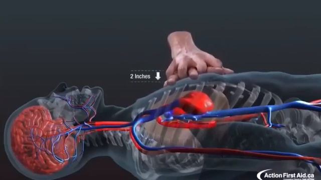 Визуализация компрессий