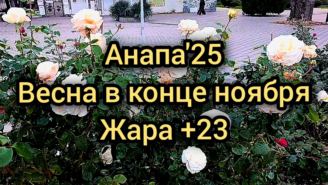 79 #Анапа #жара #толпылюдей #бархатныйсезонванапе #море 23-11-2025