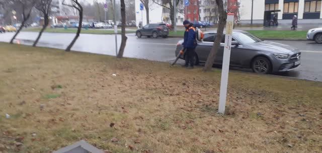 Как убирают листву в Москве