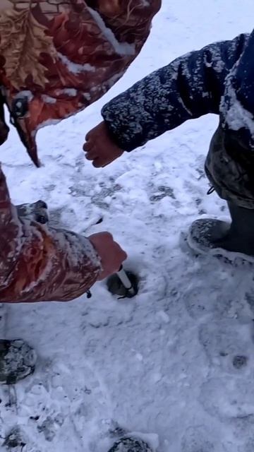 Не смог вытащить и хорошо, мы хоть завидовать не будем 🤪🤣