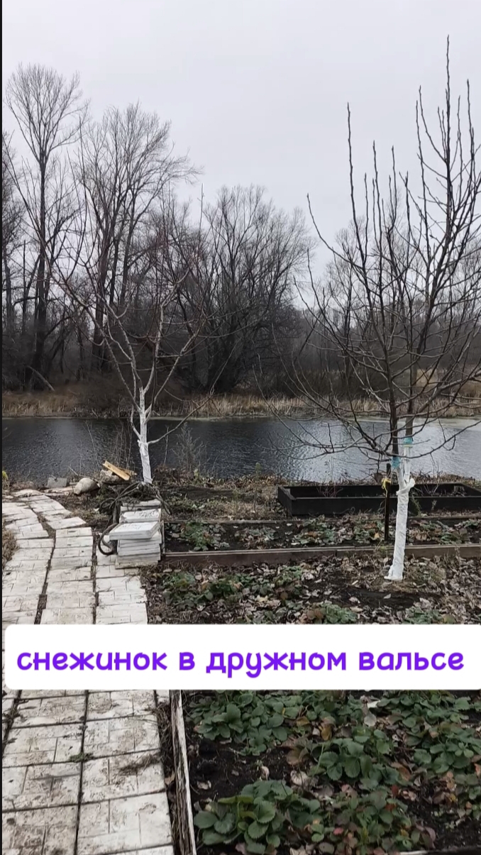 Ноябрьский день