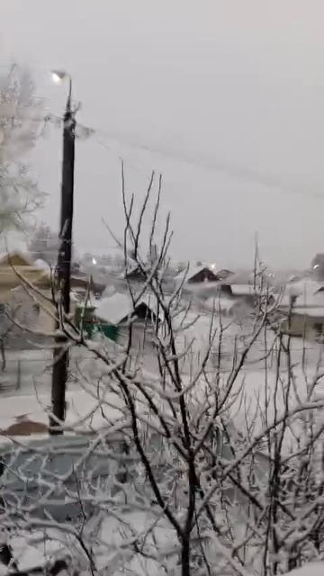 Снежное утро в деревне