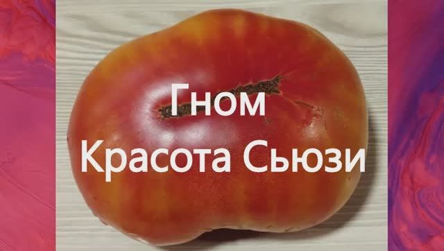 Томатные гномы.  т. 89229284031