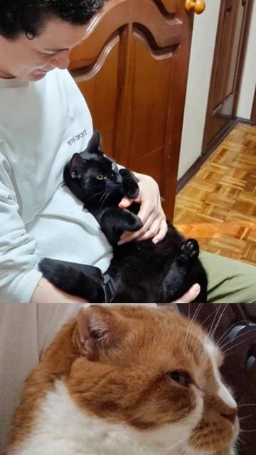 Кто придумает название к картинке и пришлет мне - очень молодец ❤🫶💋 #какделаваши #тереховаандреева