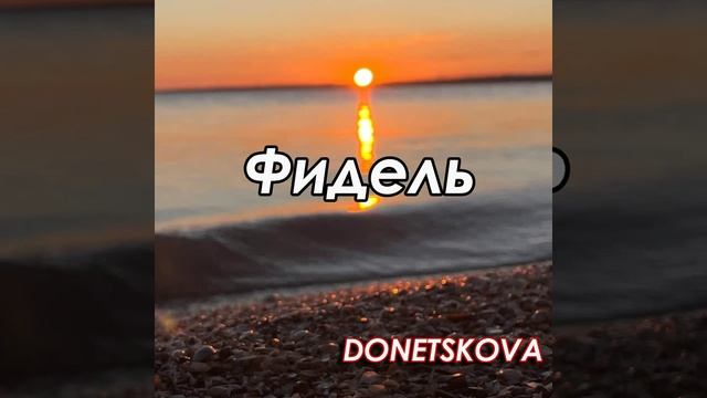 Фидель , песня 2025