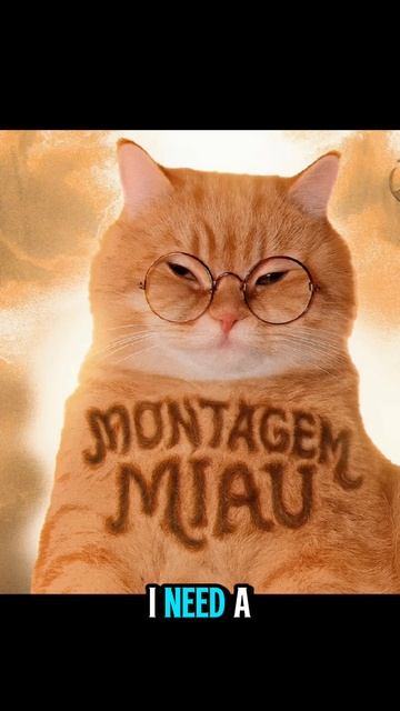 Песня montagem miau