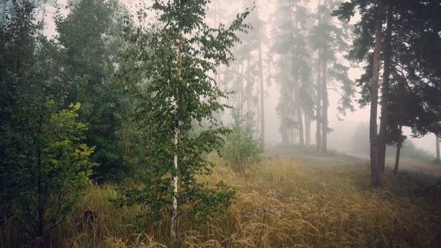 Вечер. Красивая Музыка от Души @anna_i_zueva