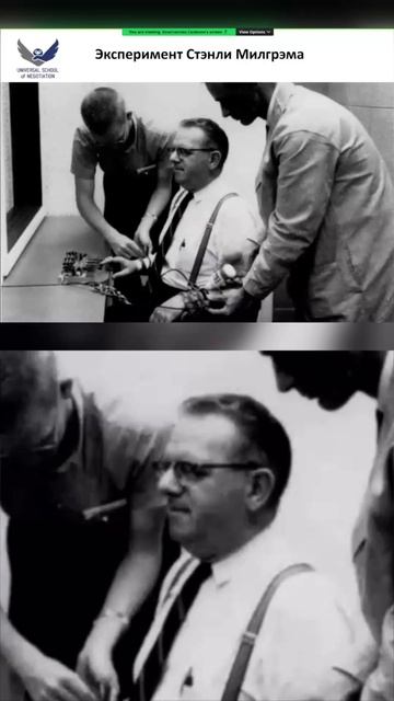 Инструкции профессора_ как наказывать ученика током за ошибки_