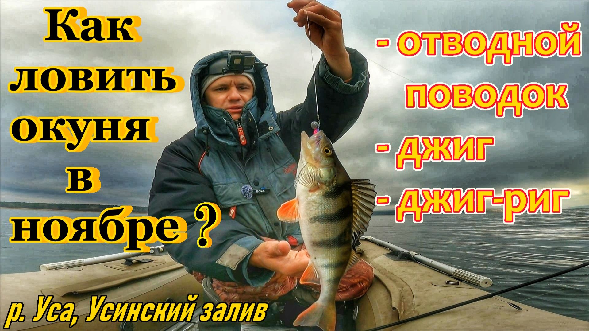 КАК ПОЙМАТЬ ОКУНЯ В НОЯБРЕ?/РЫБАЛКА В ПРЕДЗИМЬЕ/ОКУНЬ НА ОТВОДНОЙ ПОВОДОК, ДЖИГ И ДЖИГ-РИГ/РЕКА УСА