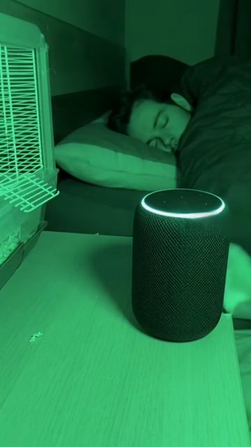 Хомяк-хакер! 🐹💻 Заказал 100 беговых колёс пока хозяин спал