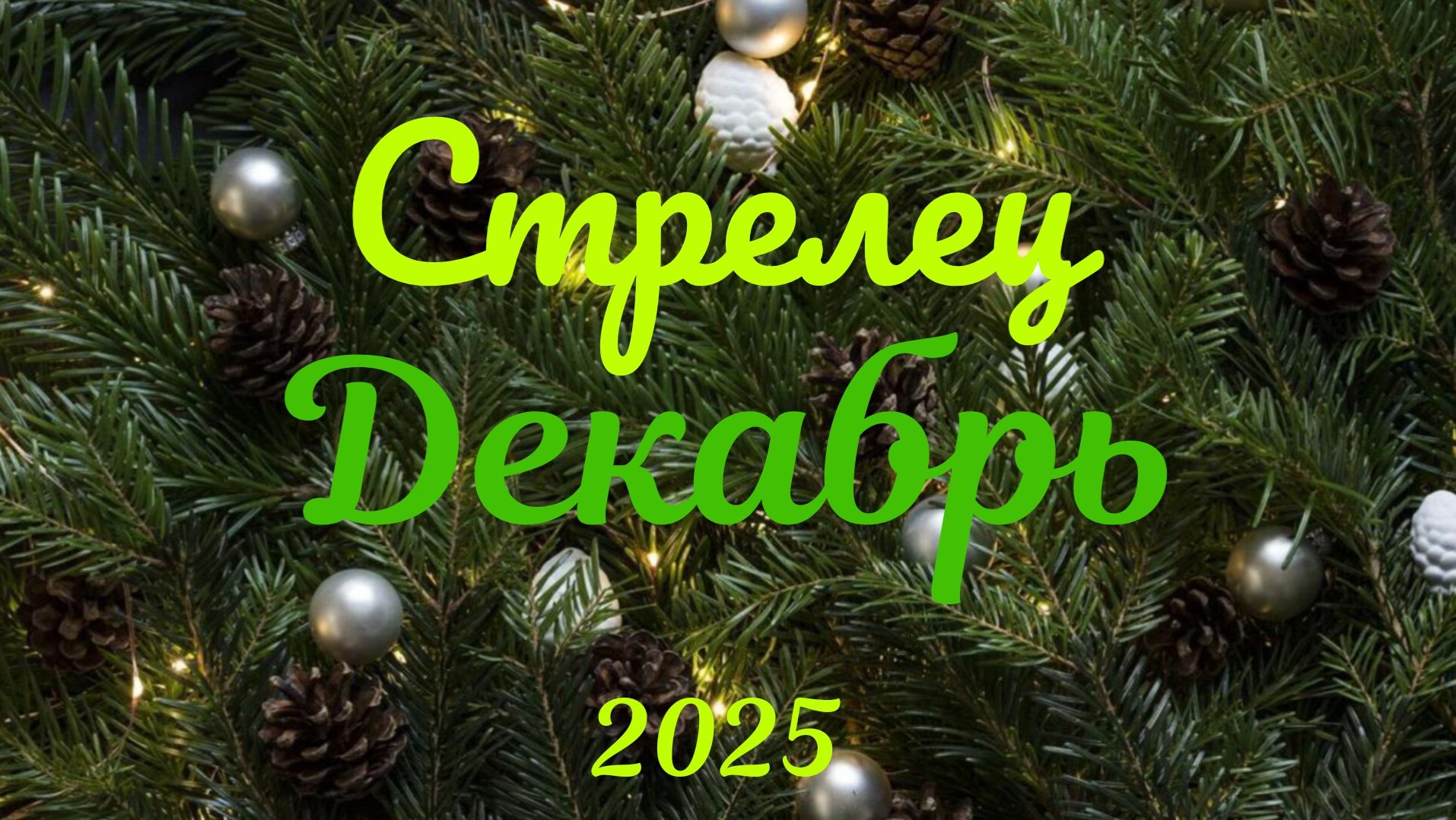 Стрелец♐ Таро- прогноз на Декабрь 🕊