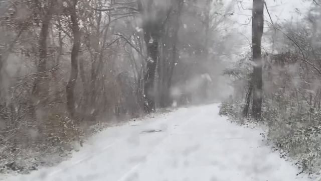 утренний снежок