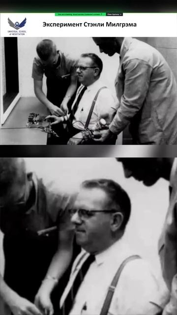 Авторитет состоит всего из ТРЕХ вещей. Шокирующие выводы Милгрэма.