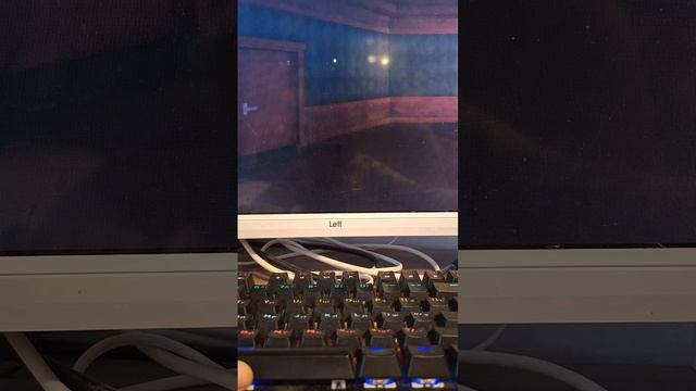 играю в игру DOORS