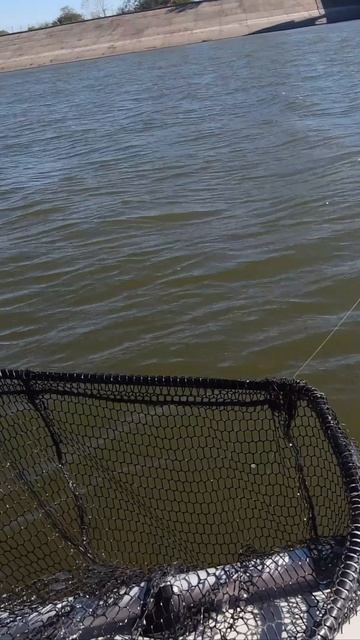 Спортивный жерешок отпускник