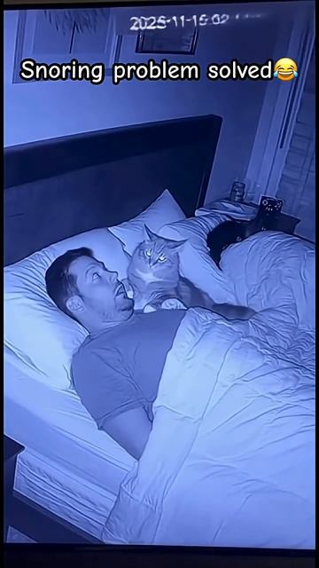 котик бдит за спящим хозяином😹