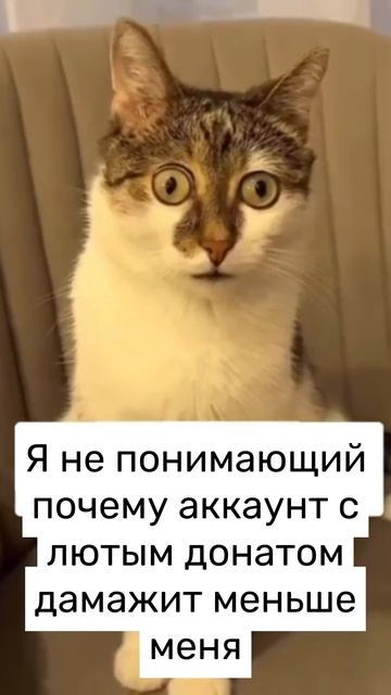 Я не понимающий почему аккаунт с лютым донатом дамажит меньше меня