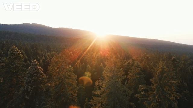 BallaDonna - Взгляд вперед