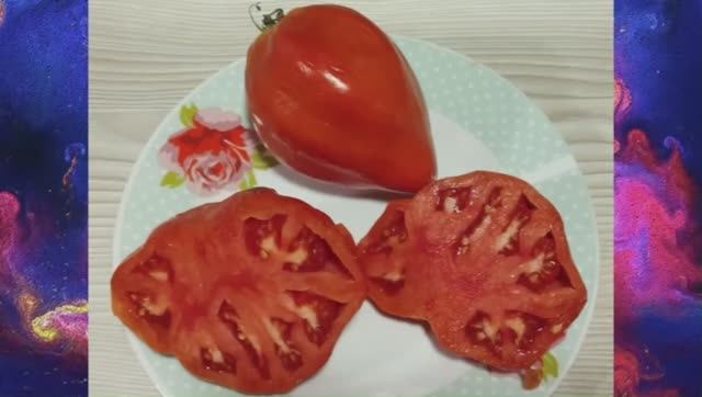 Каталог томатов на 2026 год. Часть 15. г. Киров. т.  89229284031