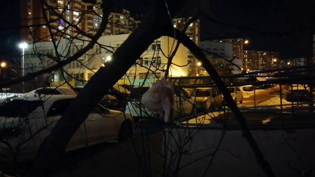 Москва 9 микрорайон 3 января 2024