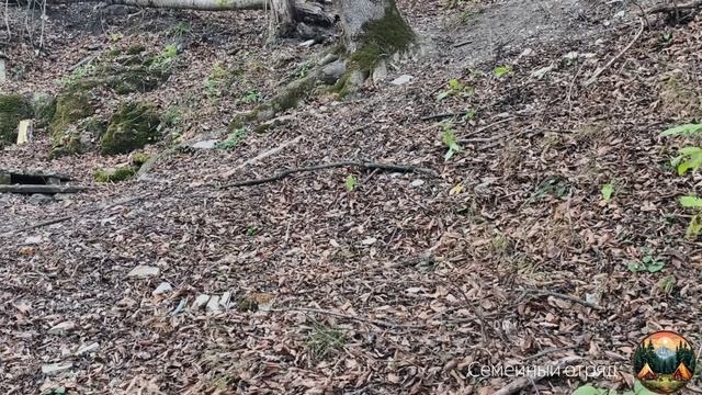 Неберджаевское водохранилище и родник "Святая ручка"