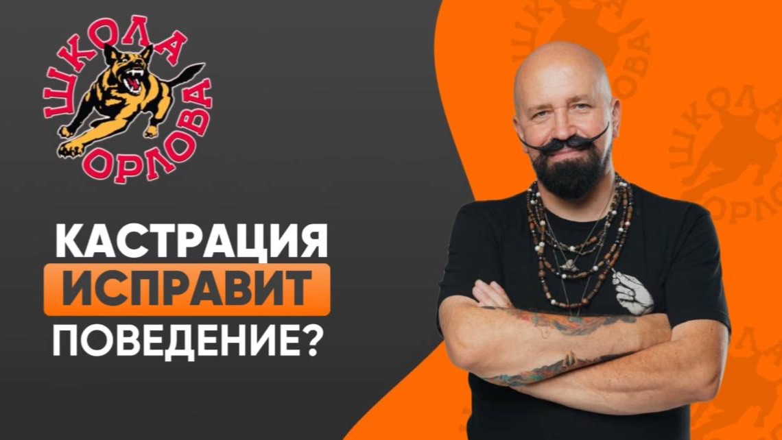 Если я кастрирую кобеля, он перестанет на всех кидаться?