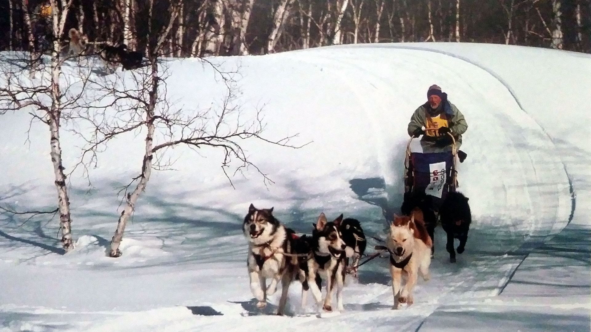 1994 год. Репортаж Камчатского ТВ о гонке "Берингия"
