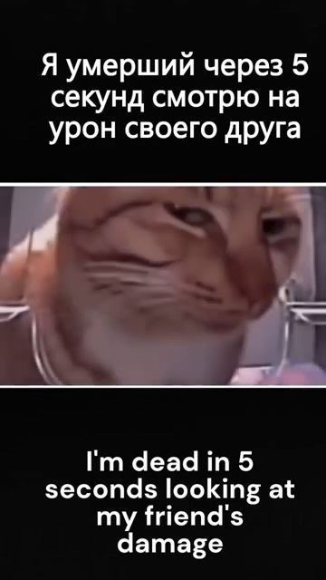 Tales of Wind - Я умерший через 5 секунд