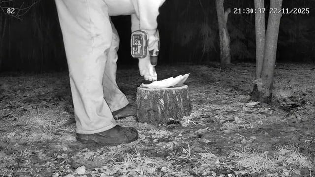 Добавка ужина на пенек