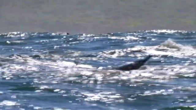 ATB — Future Memories (HD)