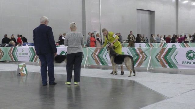 Класс ветеранов