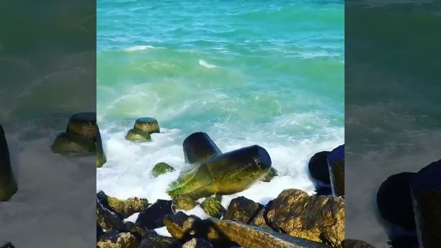 Черноморское побережье