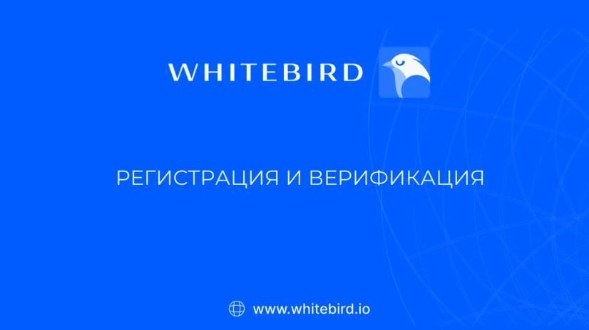 Видеоинструкция. Регистрация и верификация на сервисе WhiteBird.io