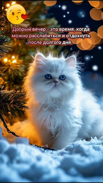 Добрый вечер! Желаю хорошего сна 👍💖#вечер