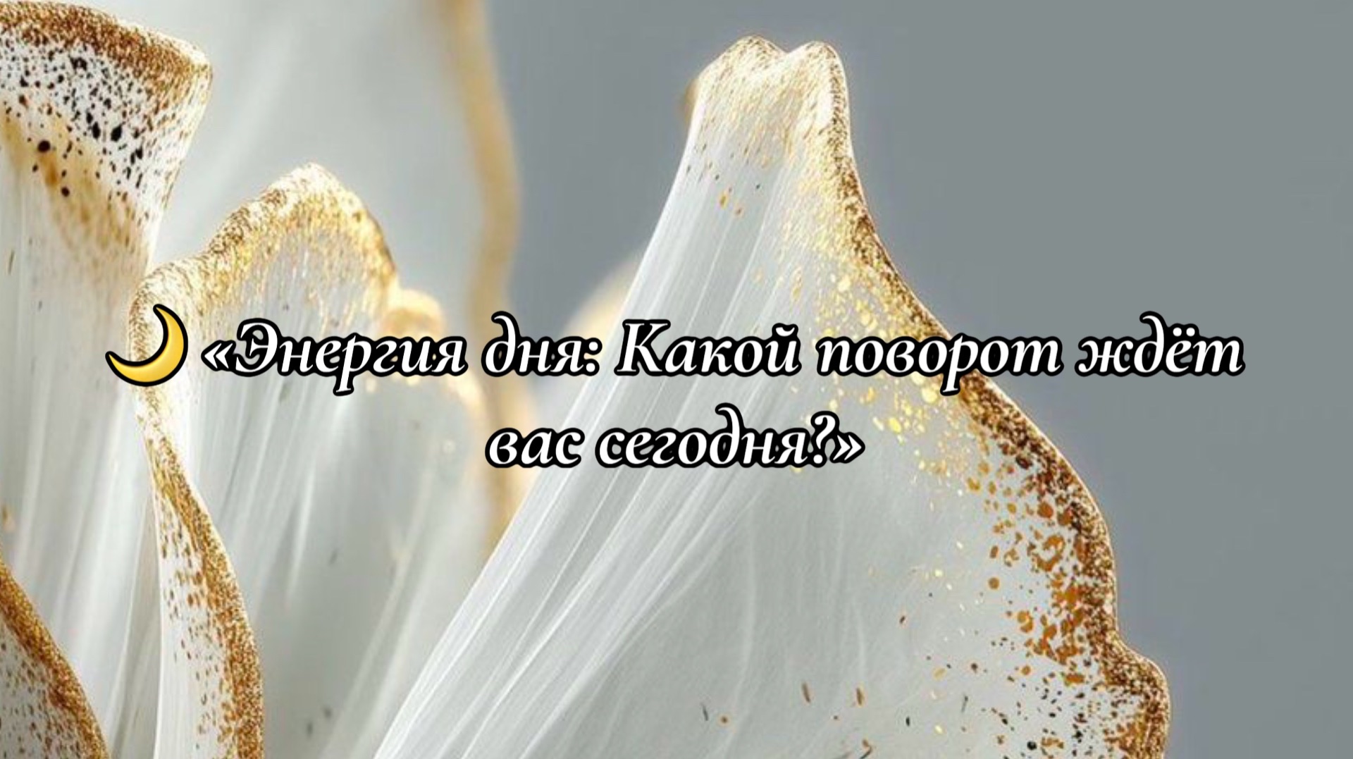 🌙 «Энергия дня: Какой поворот ждёт вас сегодня?»